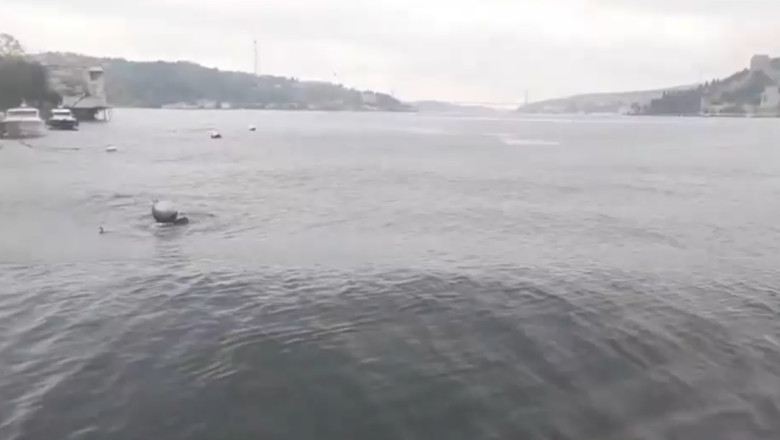 Cutremur de 6,2 în Istanbul: panică și valuri uriașe
